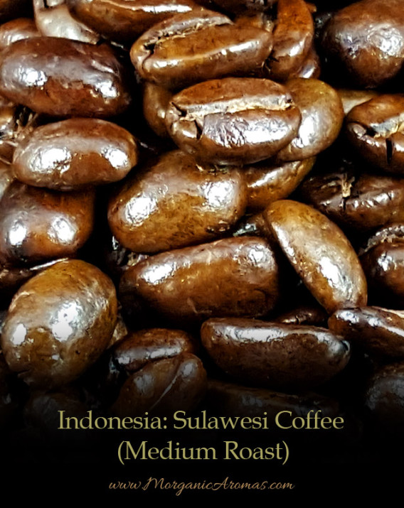 Best Indonesian Coffee Beans | Morganic Aromas